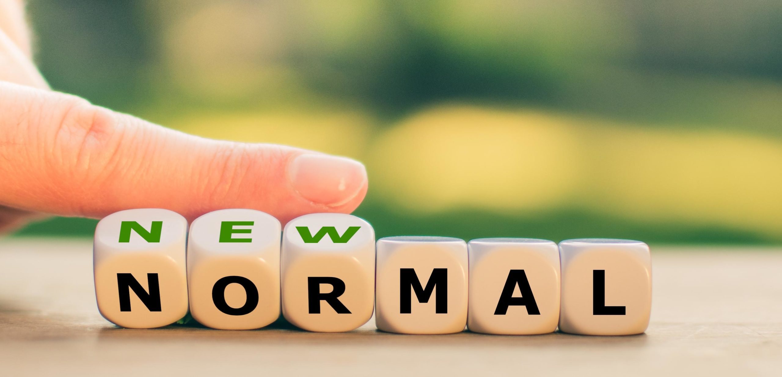 What is the new normal? - Hughson Associates